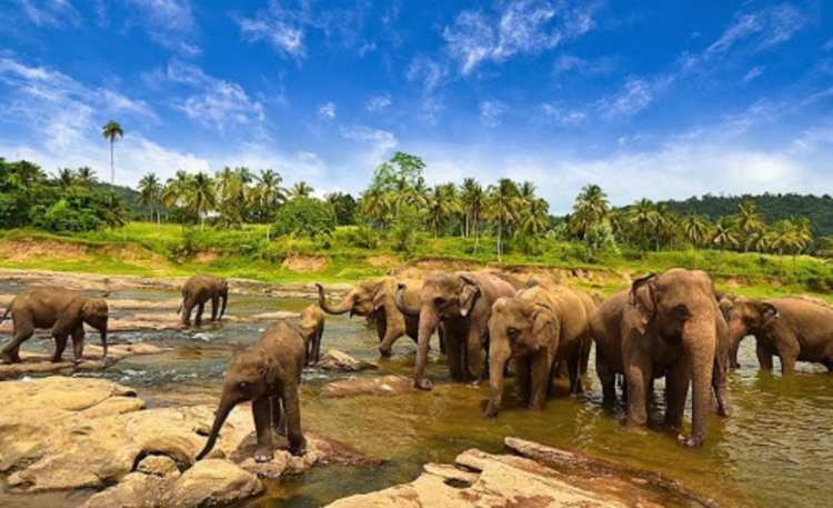 13 Rekomendasi Tempat Wisata di Lampung Untuk Liburan Akhir Tahun - IndoTimes