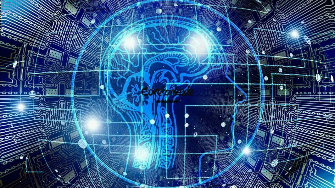 Definisi, Fungsi, Cara Kerja Brainware dan 10 Contoh Profesinya - IndoTimes