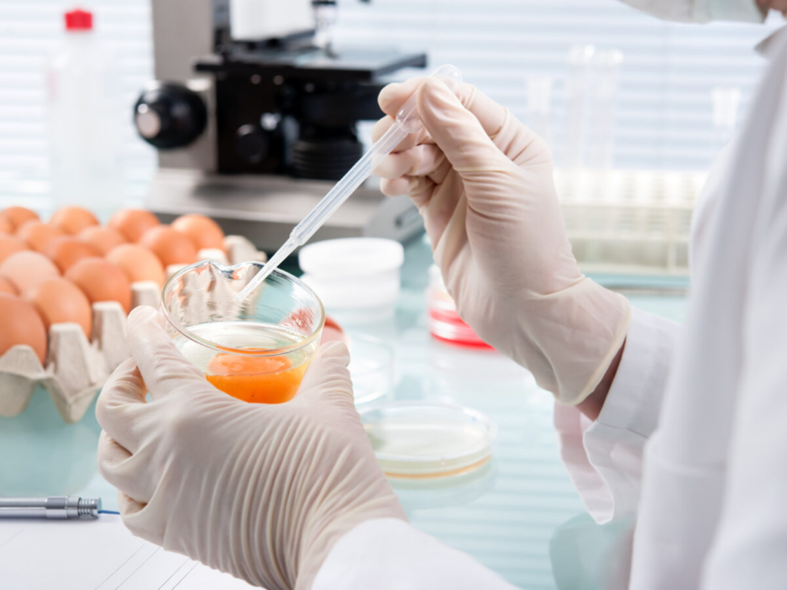 2 Cara Cek Nomor Izin Edar BPOM Untuk Makanan dan Obat-Obatan - IndoTimes