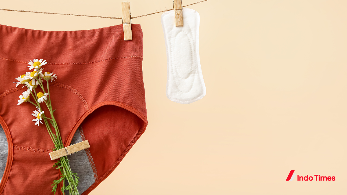 10 Rekomendasi Merk Celana Dalam Menstruasi Terbaik - IndoTimes