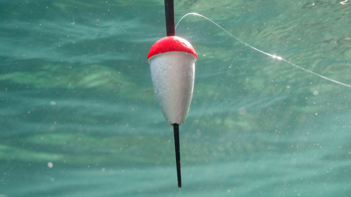 Cara Agar Senar Pancing Tidak Mengambang Saat Memancing - IndoTimes