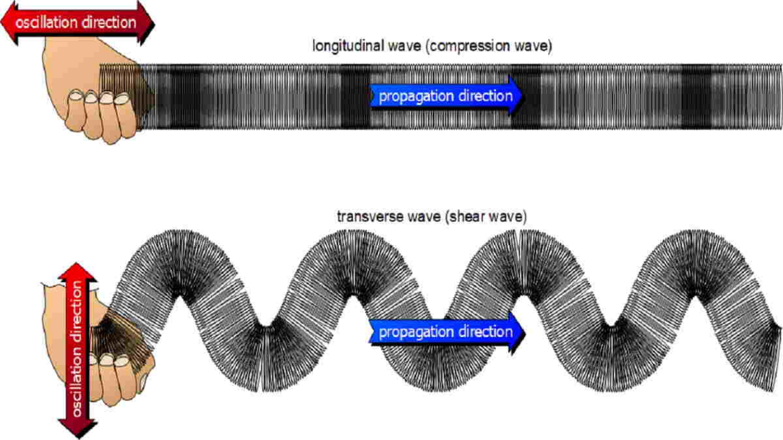 Gelombang Transversal: Pengertian, Contoh, Karakteristik, dan Rumus ...