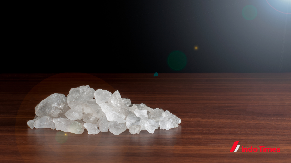 8 Cara Mengusir Curut dengan Bahan Alami dan Efektif - IndoTimes