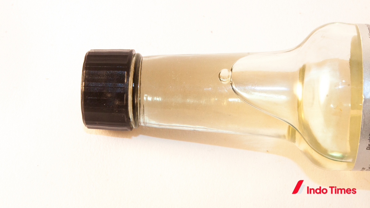 8 Cara Mengusir Curut dengan Bahan Alami dan Efektif - IndoTimes